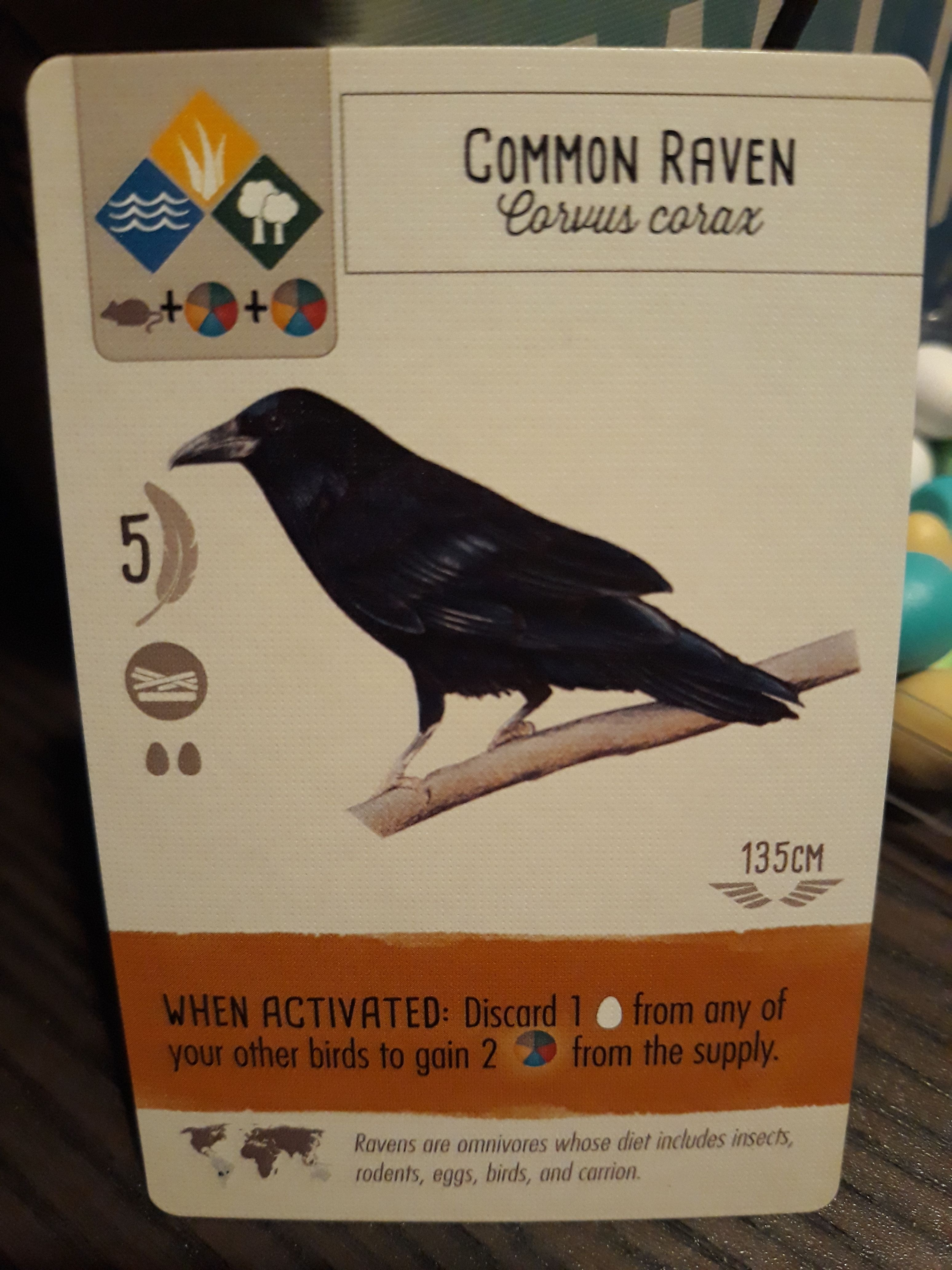 Wingspan Gameplay Review – David Rector